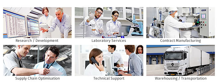 Integrated Services – SCHEOR